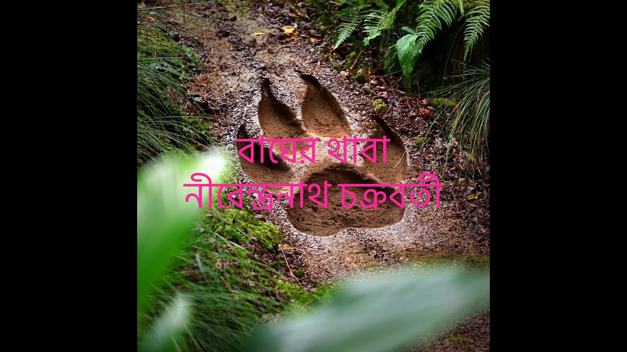 বাঘের থাবা - নীরেন্দ্রনাথ চক্রবর্তী | Bagher Thaba - Nirendranath ...