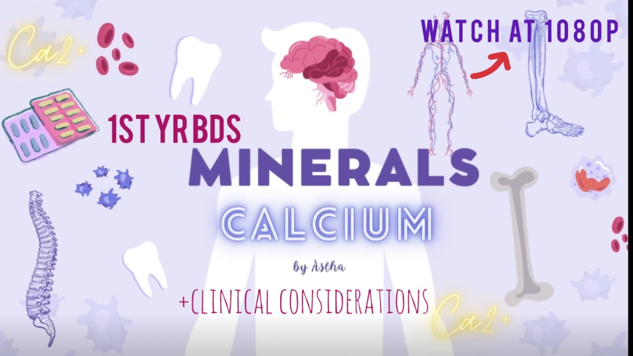 Calcium Essay for 10 marks with MNEMONICS | Minerals | Biochemistry ...