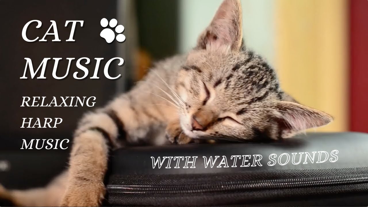 Cat Music - Relaxing Harp Music with Water Sounds - YouTube