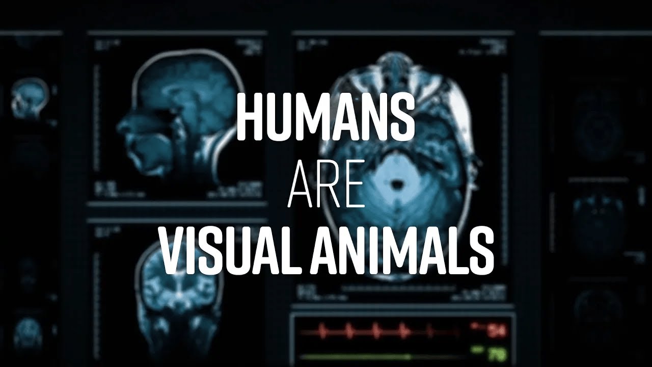 Humans Are Visual Animals - YouTube