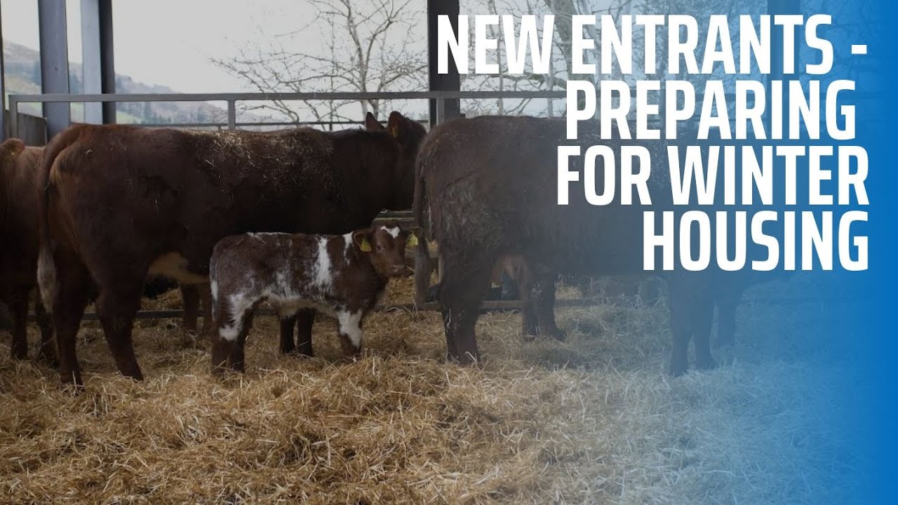 New Entrants - Preparing for Winter Housing - YouTube
