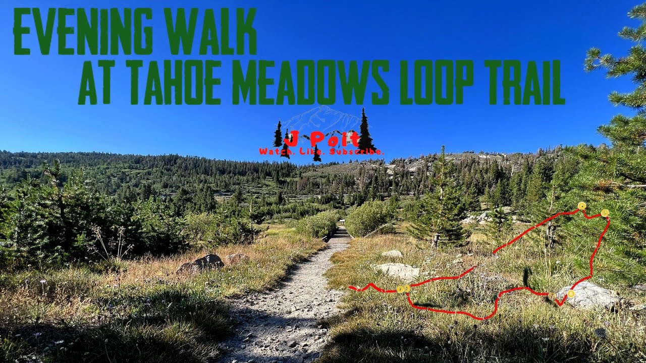Evening Walk at Tahoe Meadows Loop Trail [4K] - YouTube