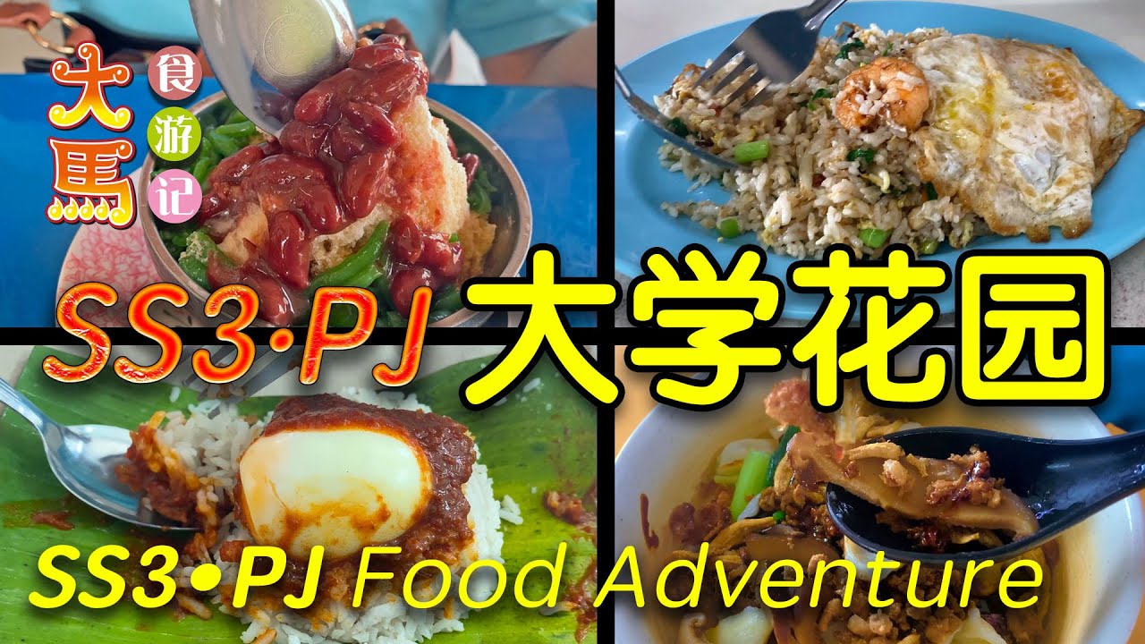 SS3·PJ【大学花园】泉记二十年手拉滑板面、四十年炒饭摊、怡保山水猪肠粉、每天排長龙的娘惹煎蕊 ~ 食游记 🔴 Taman ...