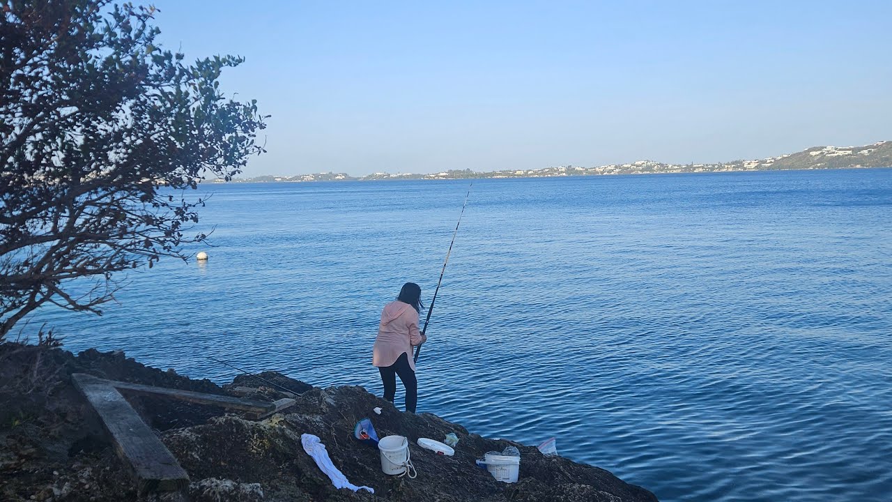 Lets Catch the Fish 🐟🐟🐠 - YouTube