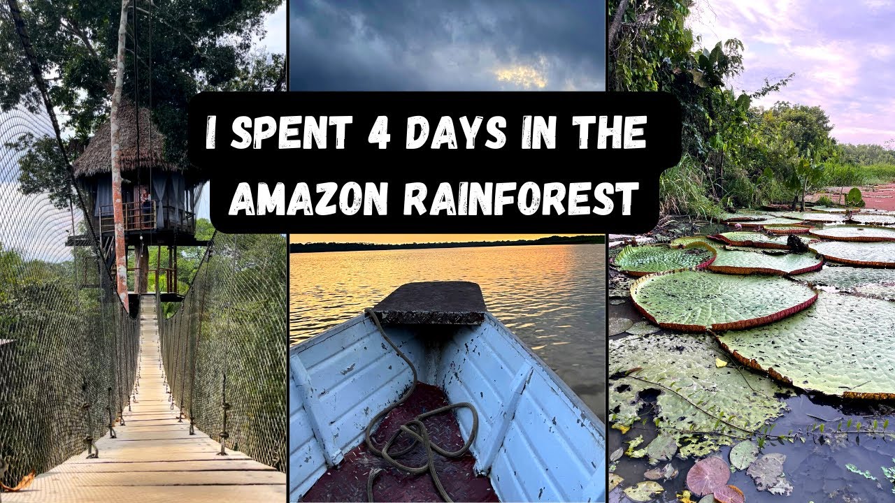 I Spent 4 DAYS IN A TREEHOUSE IN THE AMAZON RAINFOREST - YouTube