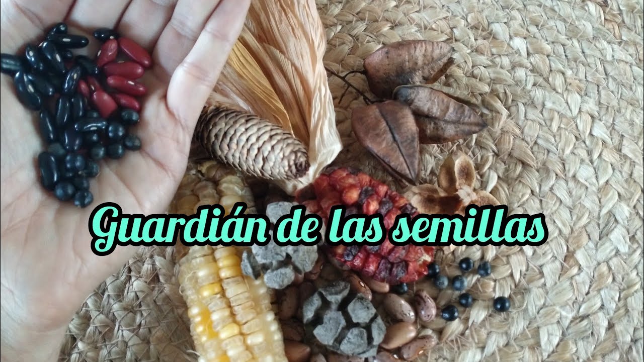 Cosecha tu propia semilla. - YouTube