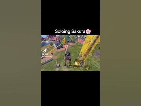 Soloing Sakura 🌸 #codm #codmobile #callofdutymobile - YouTube