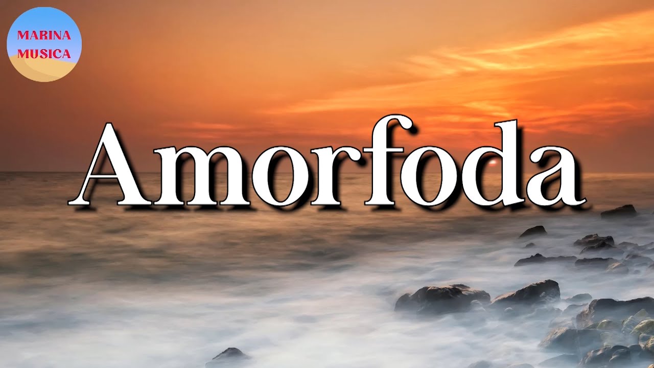 🎵 Bad Bunny – Amorfoda || Matisse, Grupo Los de la O, Calibre 50 (Letra ...