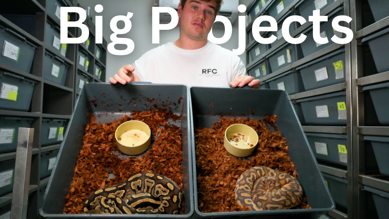 The Way Forward With Our Breeding - YouTube