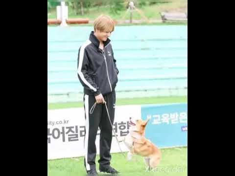 Bts & Hayvan Sevgisi❤❤❤