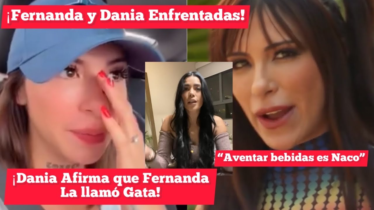 ¡Fernanda y Dania enfrentadas! • ¡Dania Afirma que Fer la llamó Gata ...