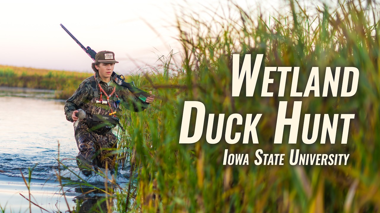 Duck Hunting a Public Wetland with College Students - YouTube