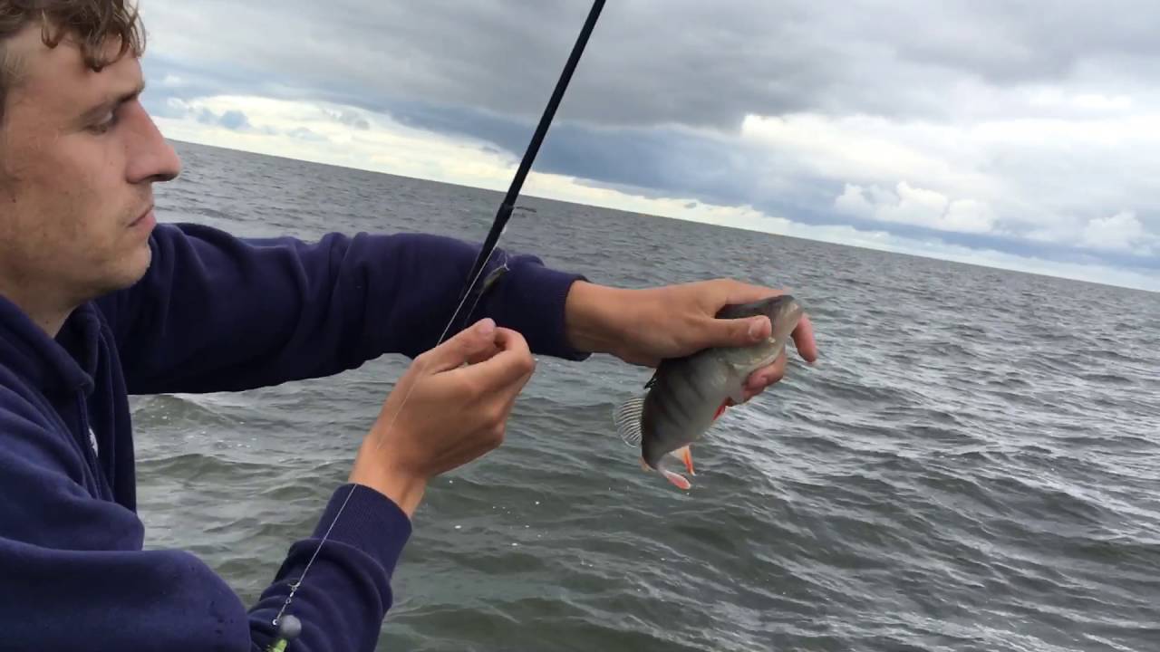 Peipsi 06.08.2016 - YouTube