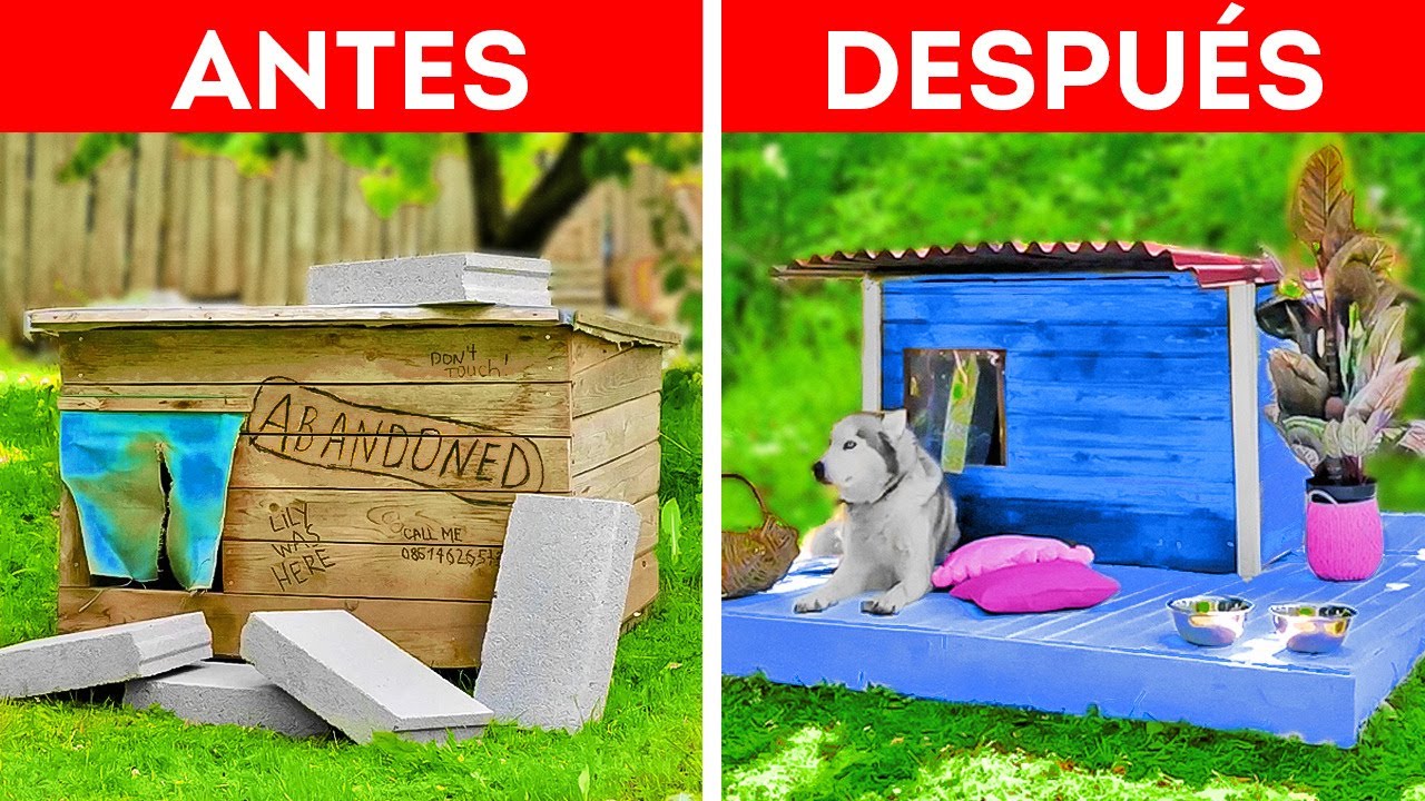 Como Hacer Casa Para El Perro Facil at Andrew York blog