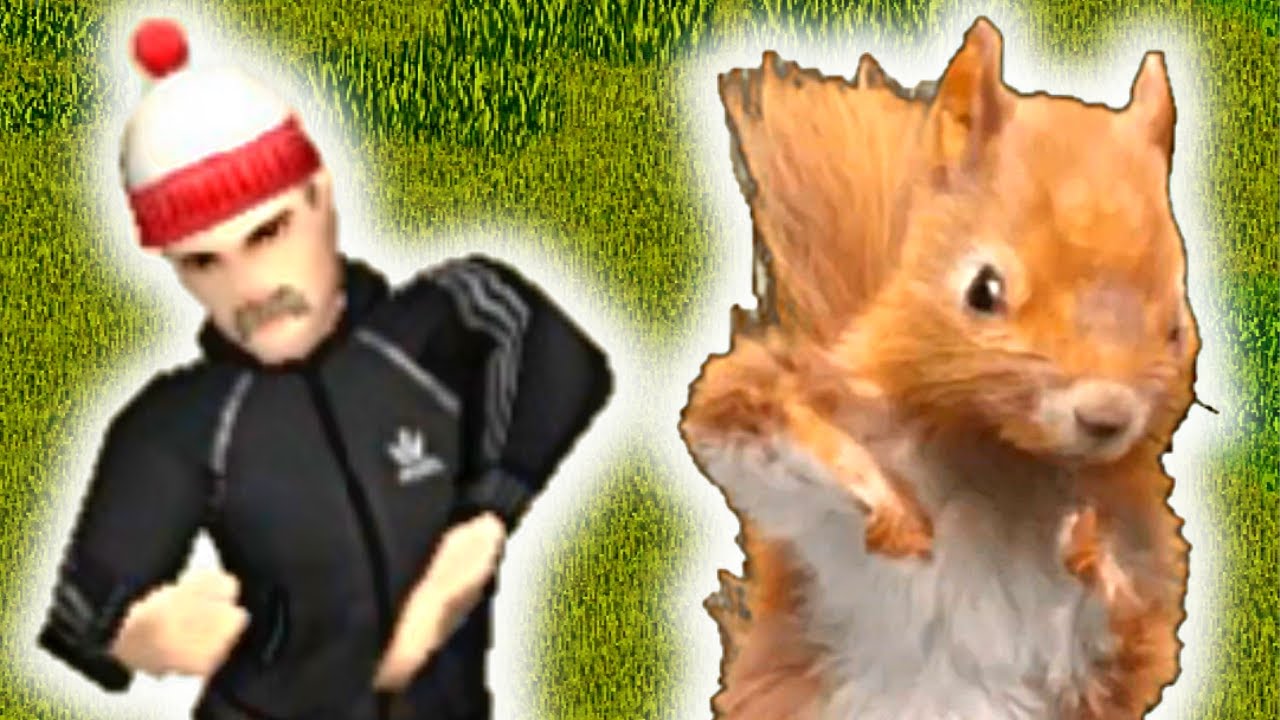When a squirrel has better dancing skills than you... - YouTube
