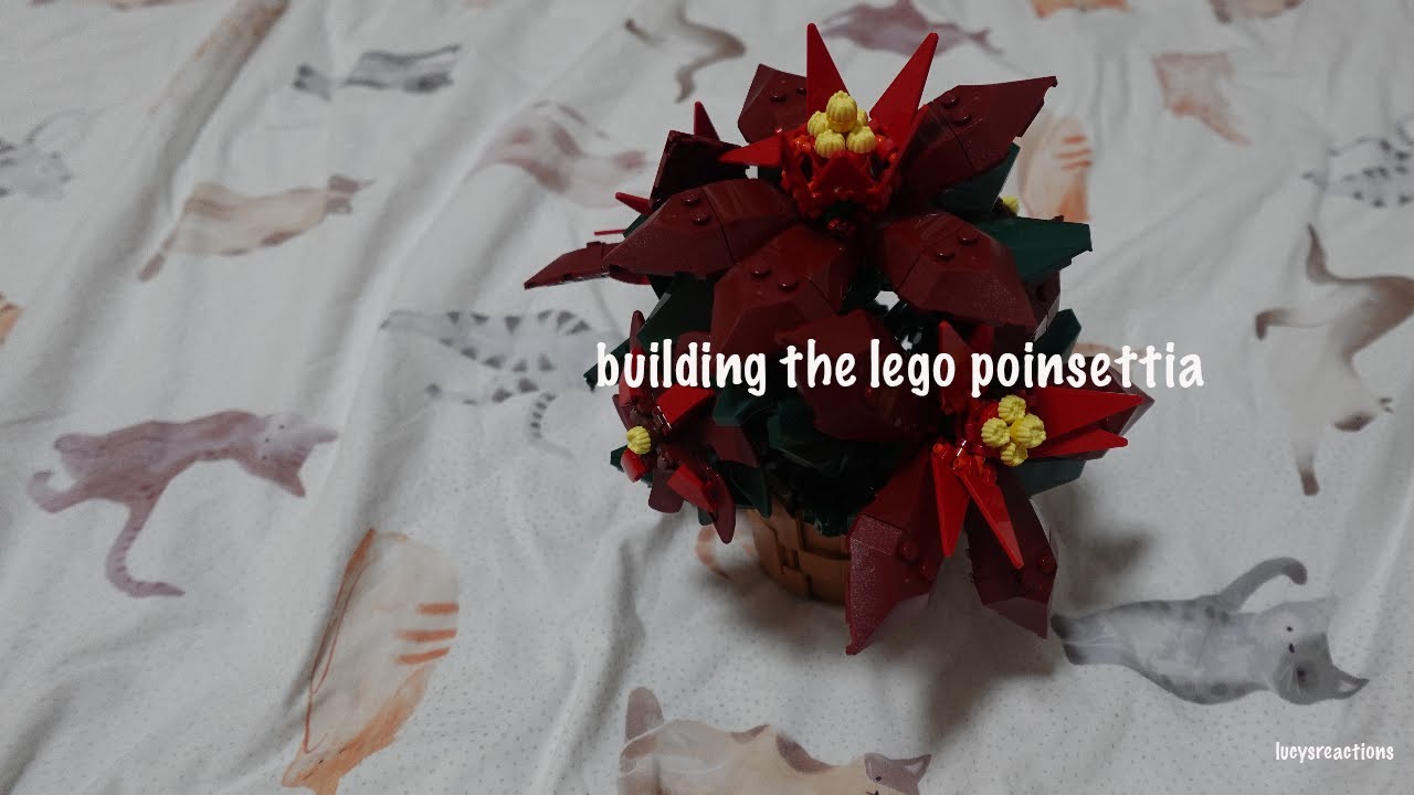 building the lego poinsettia - YouTube