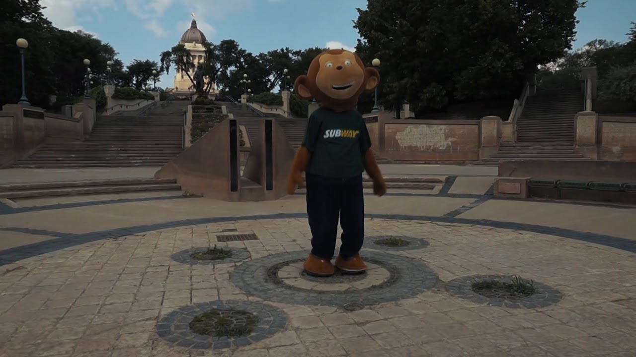 Subway Monkey is jumping off a building!! Winnipeg, Manitoba - YouTube
