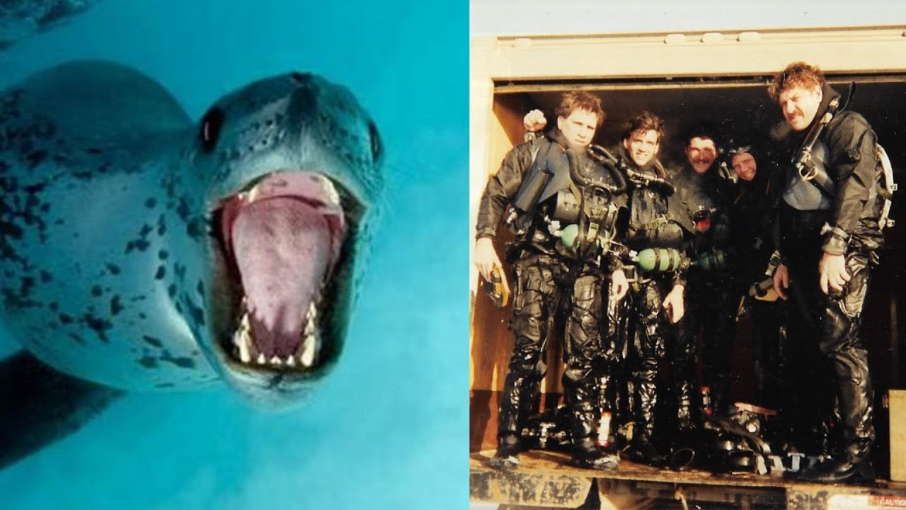 Retired Navy SEAL Don Shipley BIG TROUBLE on Resurrection Bay Alaska ...