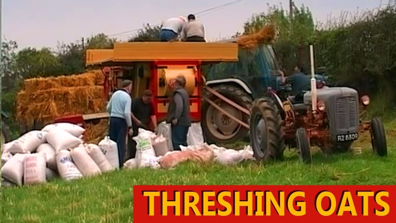 Threshing the Oats at the Glens of Antrim, N. Ireland - YouTube