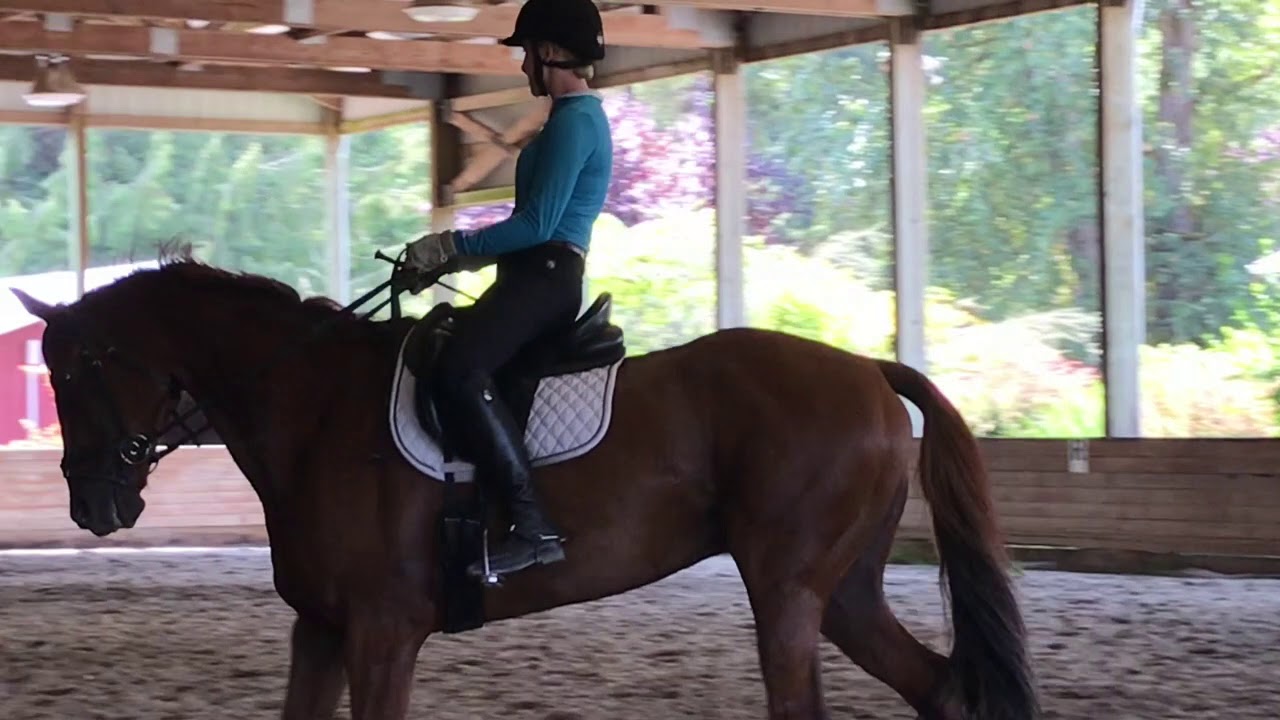 Red Rover - Dressage Lesson - YouTube
