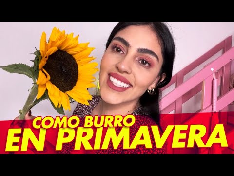 Condones Prudence | El Delicioso | Como burro en primavera
