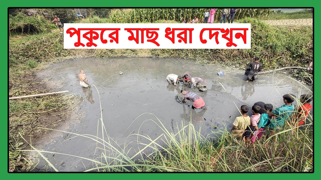 পুকুরে মাছ ধরা I Fishing in pukur 2024 - YouTube