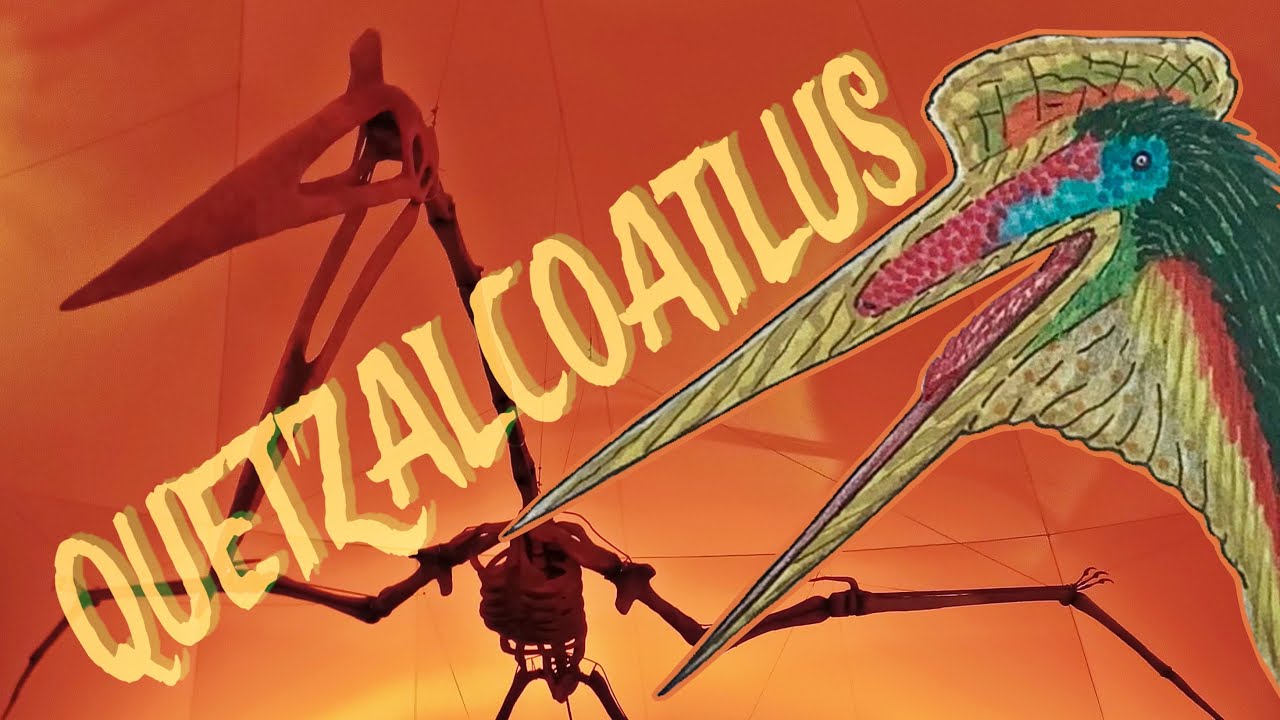 Quetzalcoatlus || VIDA PREHISTÓRICA - YouTube