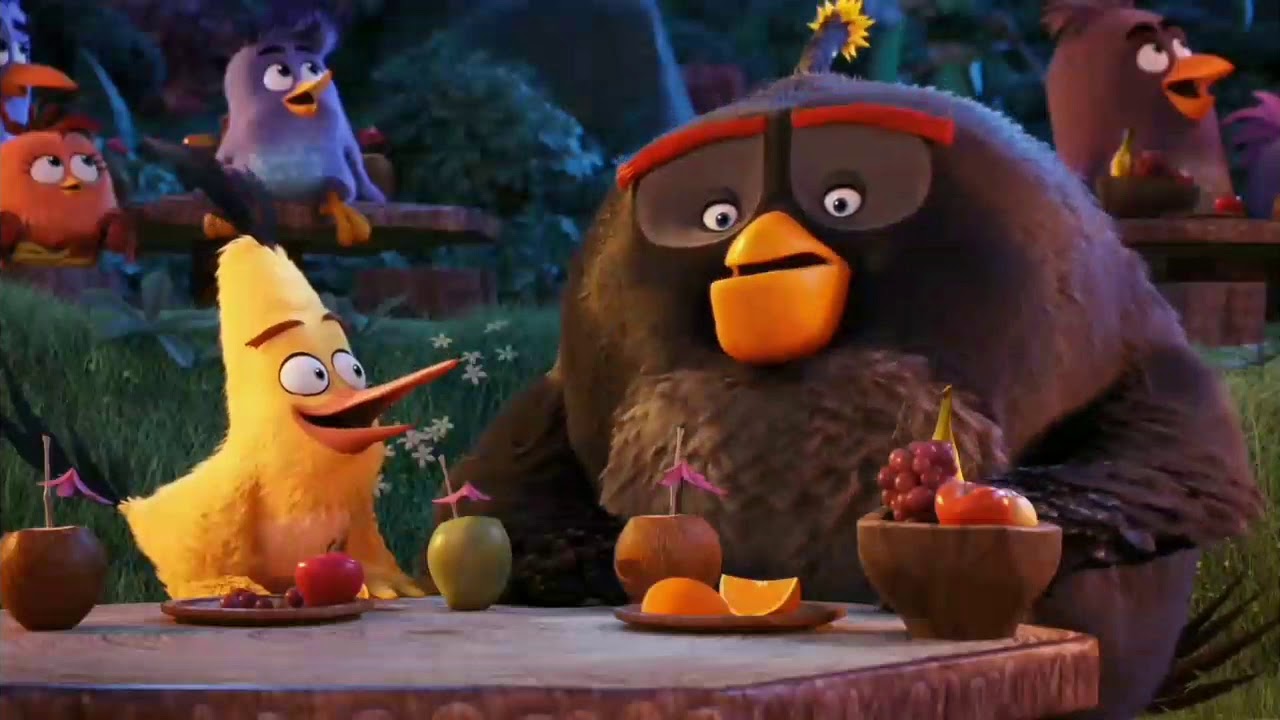 Angry Birds Cartoon Movies - YouTube