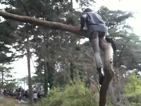 man vs tree at hardly strictly bluegrass - YouTube