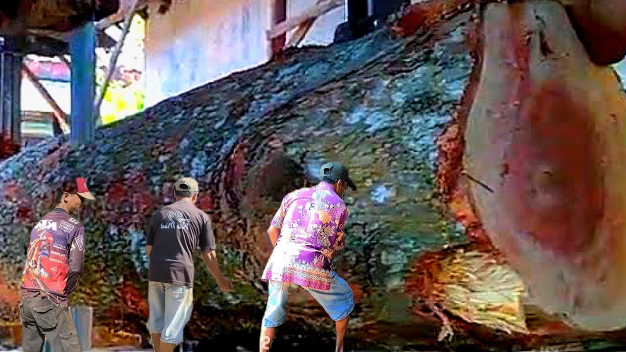 Deadly Bump || Redwood Destroys Everything At The Sawmill - YouTube