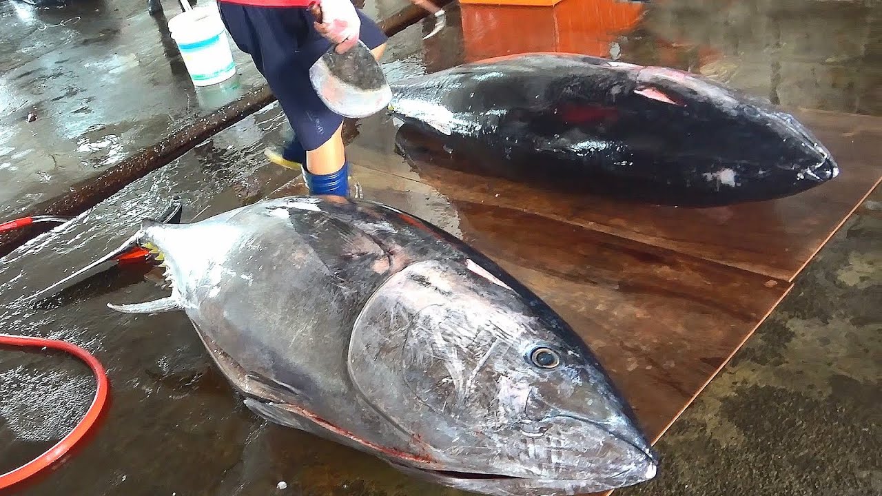 The Ultimate Giant Bluefin Tuna Breakdown – Fish Market Spectacle ...
