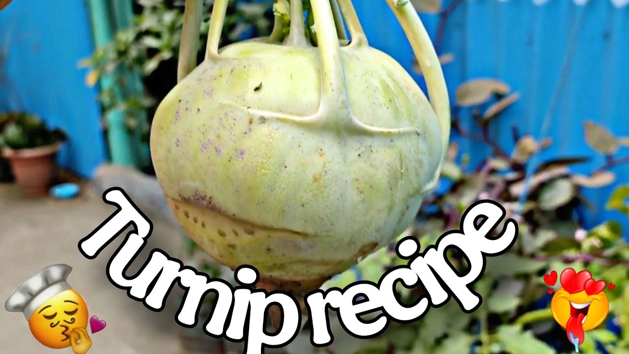 Turnip recipe with Fish curry🥰 - YouTube