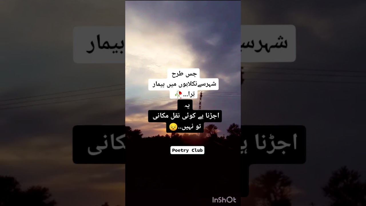 Sad Poetry Status Sad Shayari Insta Poetry Poetry Club YouTube sad-poetry-status-sad-shayari-insta-poetry-poetry-club-youtube