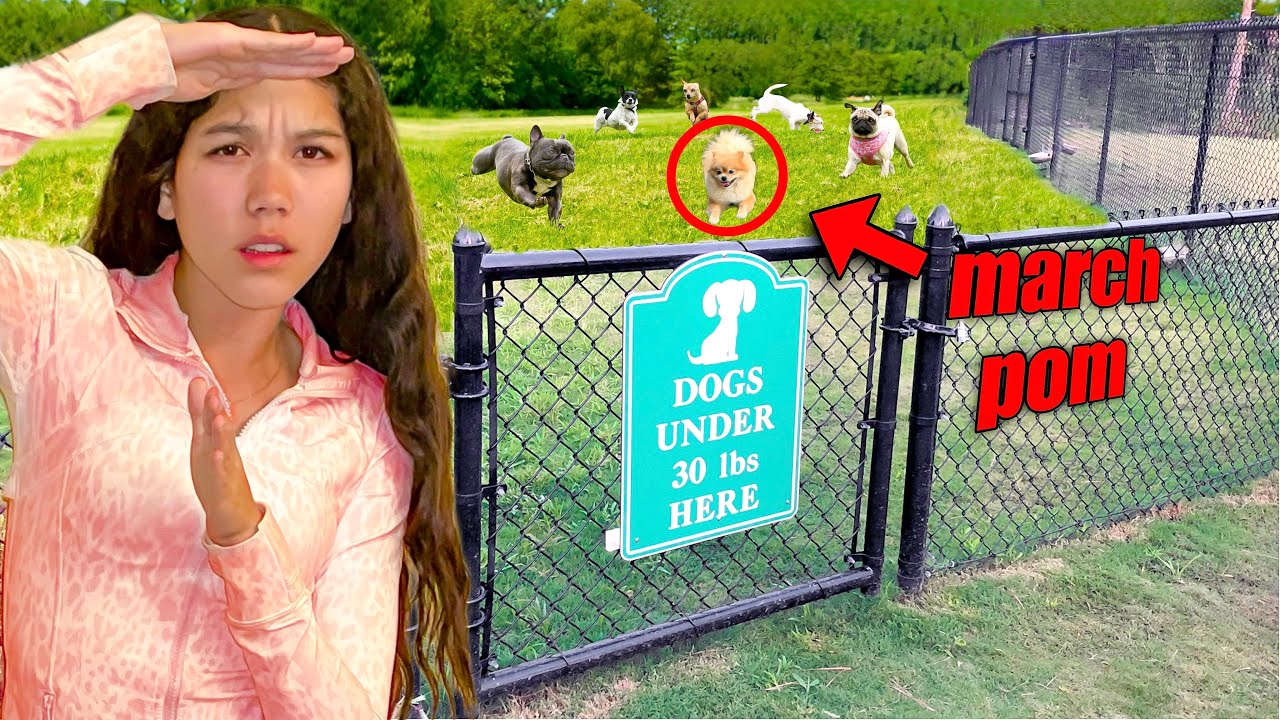 THEY HAVE MARCH POM HERE? - YouTube