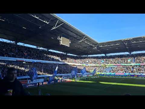 [20241130] MSV vs. LOT - Duisburg Lied - Kalender - Zebra Twist - Aufstellung - Hymne