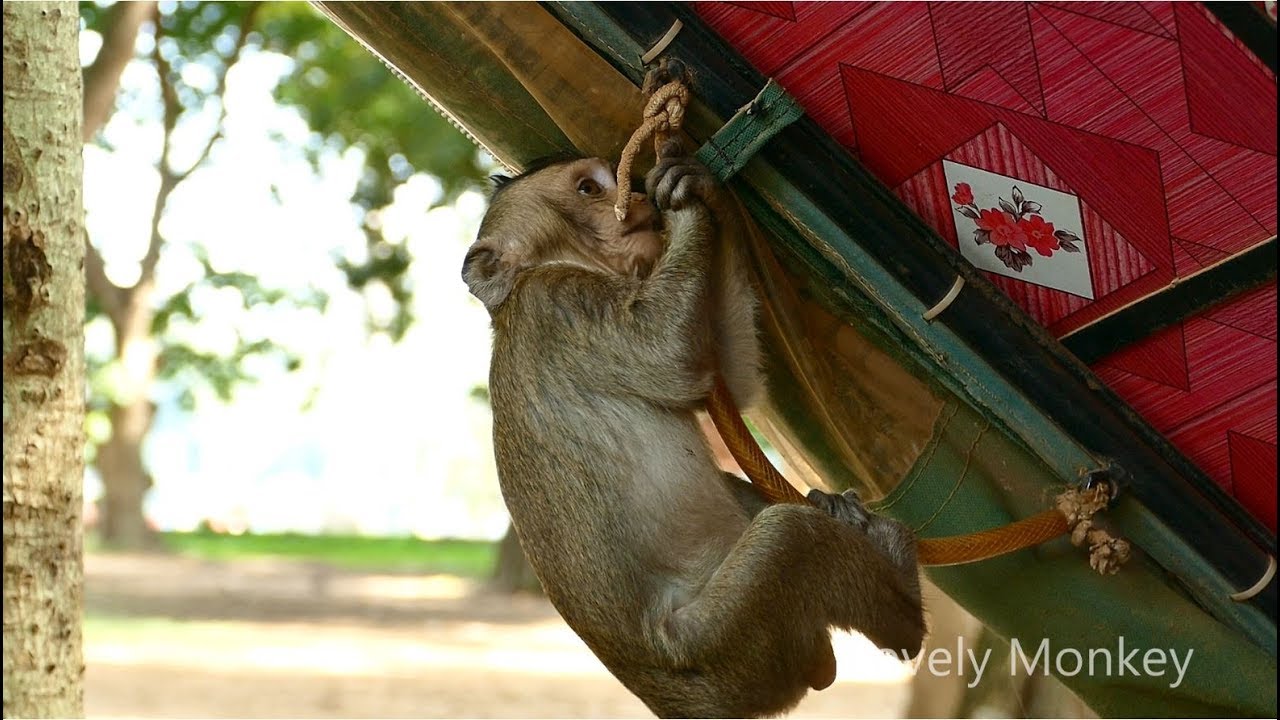 Super Fun Both Baby Sady & Sana made it | Baby Sady Feeling Trust On Me ...