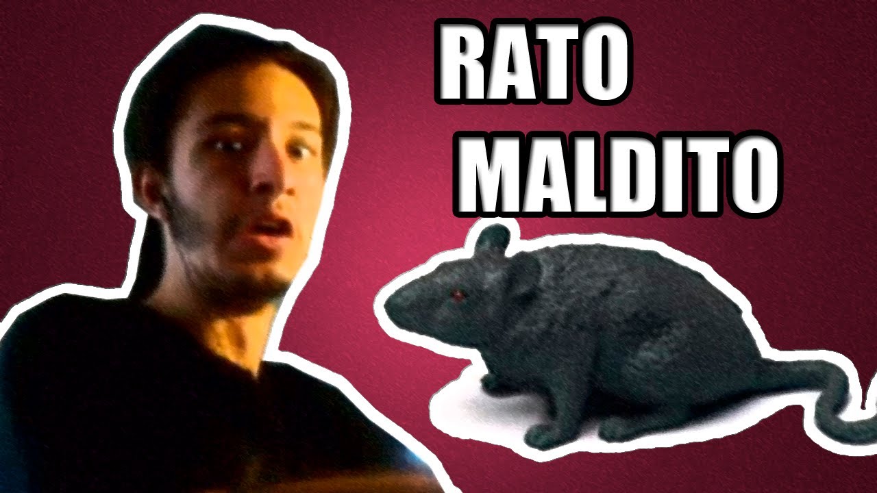 O RATO MALDITO - YouTube