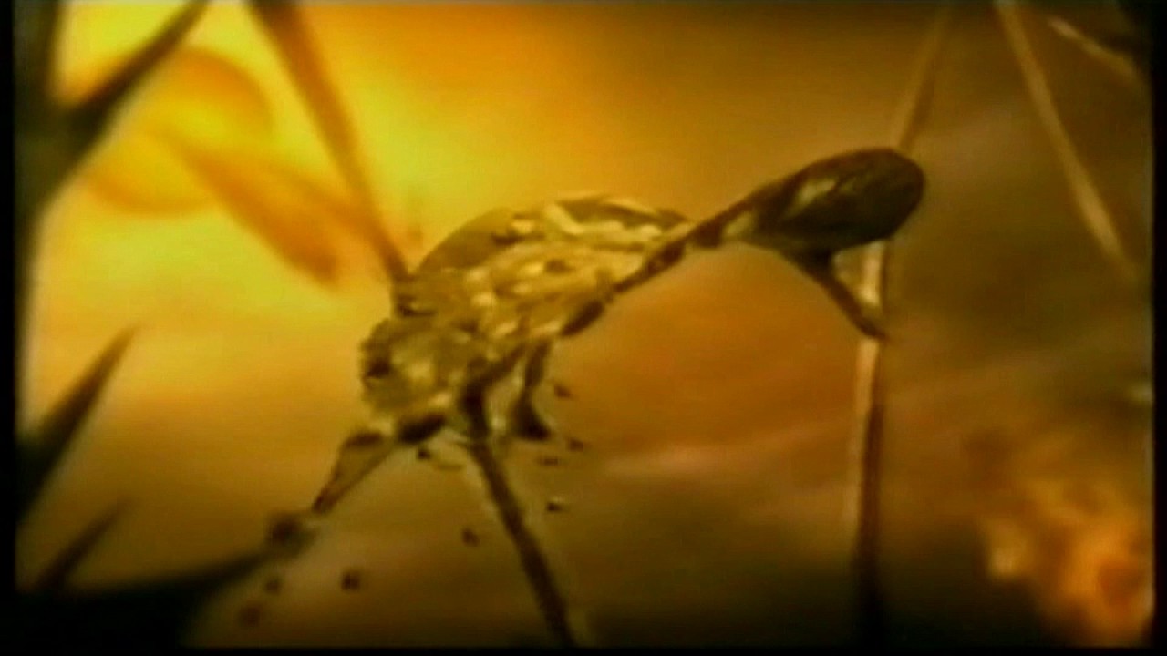 Strepsils reklám - 2003 - advert - YouTube