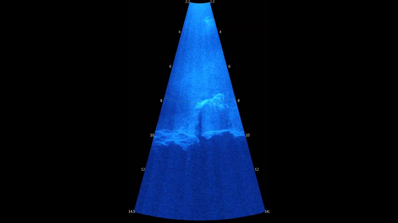 Sound Metrics, ARIS 3000, Diver Desilting Pump Bay - YouTube