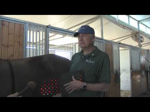 RevitaVet Light Therapy System - YouTube
