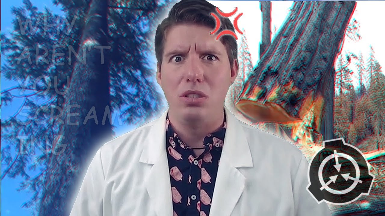 WILL IT SCREAM?! - Site-42 SCP-4521 TikTok Compilation - YouTube