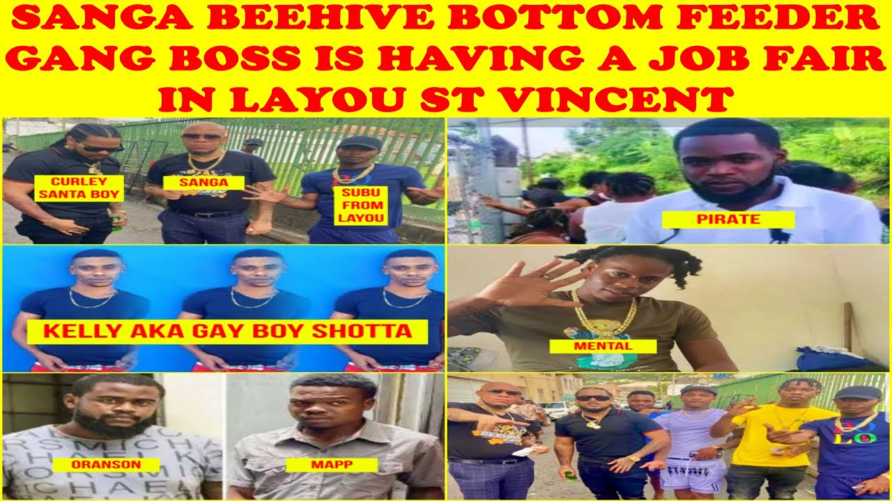 COUNTRY MAN RIGHT SANGA BEEHIVE GANG B0SS IS ENLISTING -SHUBU- MENTAL ...