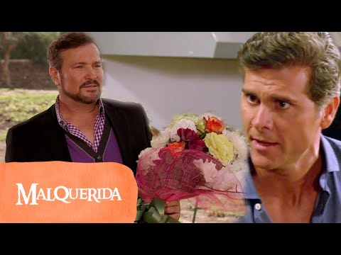 Héctor provoca los celos de Esteban | La Malquerida 2/2 | C-46 | tlnovelas