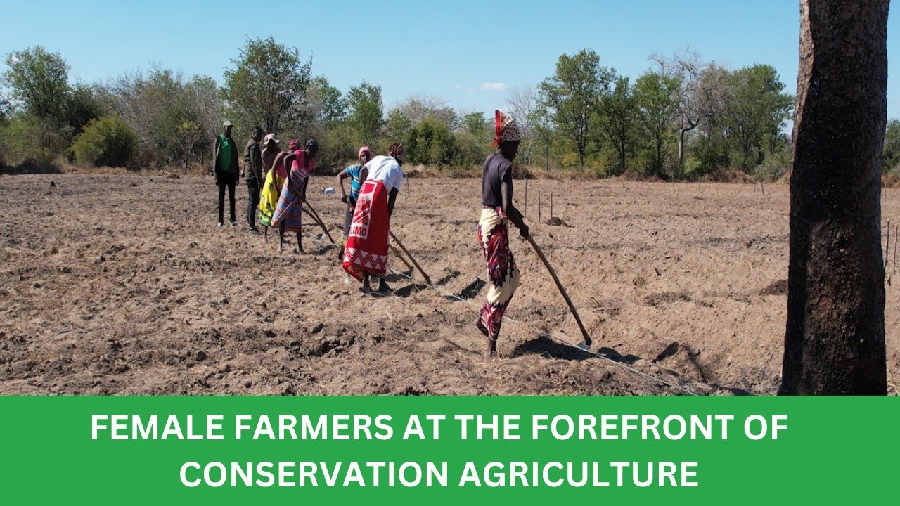 Female Farmers at the Forefront of Conservation Agriculture - YouTube