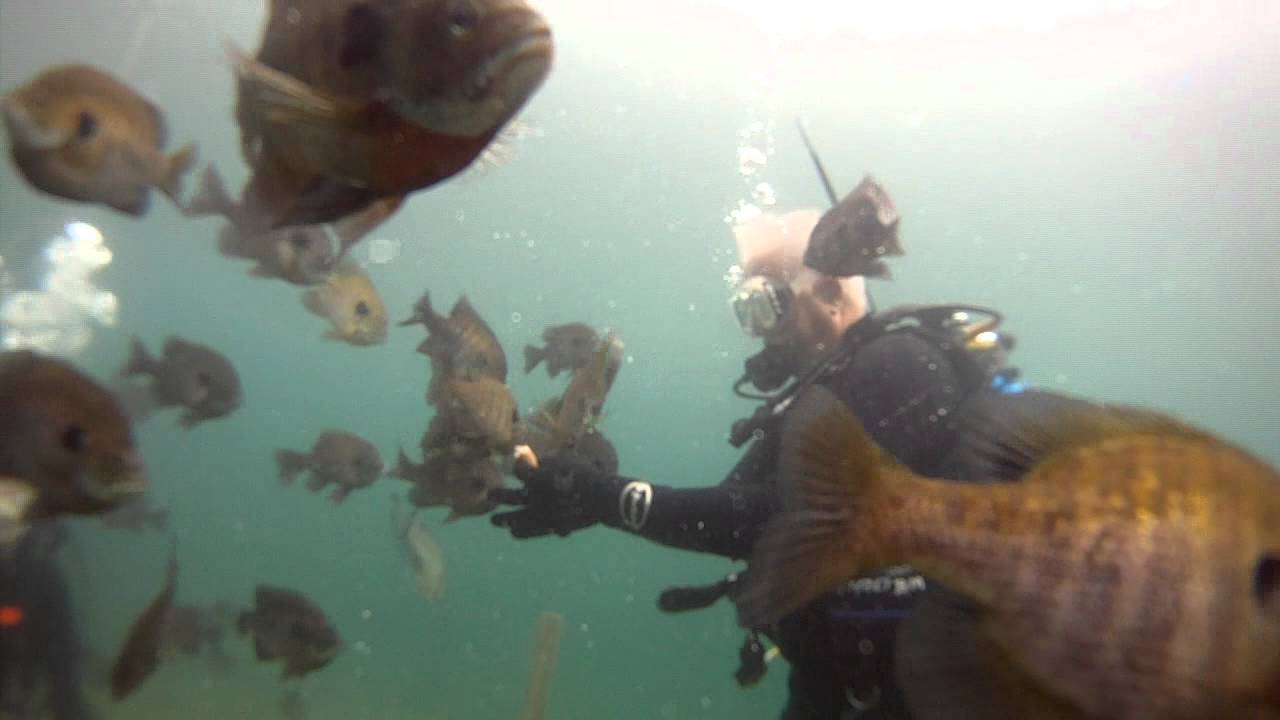 GOPRO Lake Rawlings - YouTube