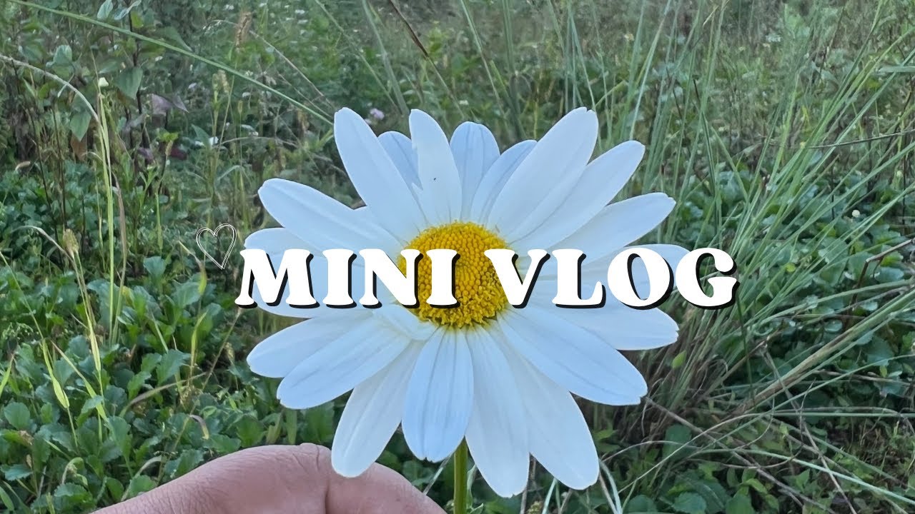 ORGANIC | FARM | VISIT | BISHNU PADUKA | DAILY VLOG | - YouTube