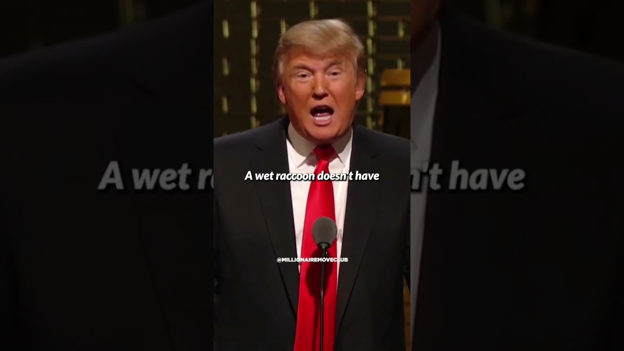 The Difference Between Donald Trump Hair And Wet Raccoon - YouTube