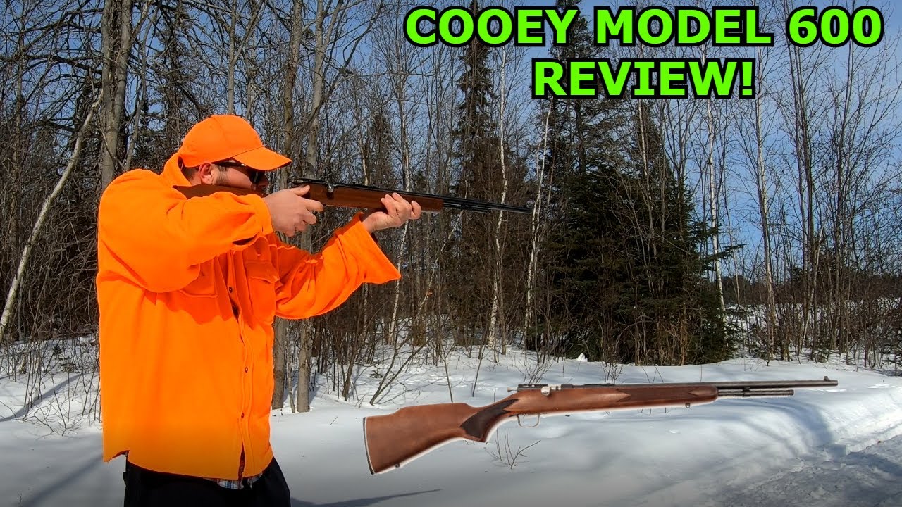 COOEY Model 600 Bolt Action .22 RIFLE REVIEW!!! - YouTube