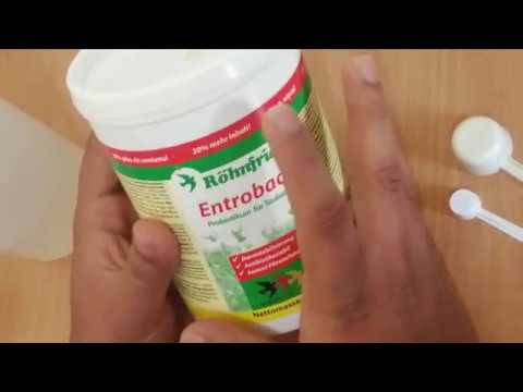 Entrobacسلسلة تبييض الطيور : استرجاع البكتيريا النافعة عن طريق استعمال ...