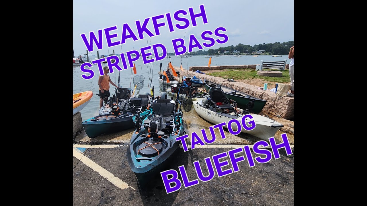 Kayak Fishing CT - WEAKFISH TAKEOVER and OTHER surprises - YouTube